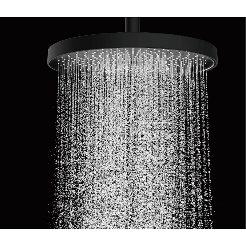 Regadera Antihongos Ducha Negro Mate Self-cleaning A Techo